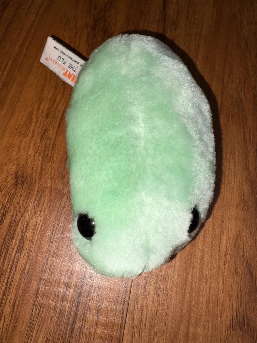 Rare Vintage the Flu Plush Microbe Giant 6 Inch - Etsy