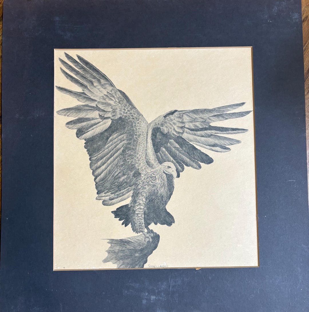 Eagle Graphite Pencil Drawing Art Bird Art Large 15x 14 Inch - Etsy