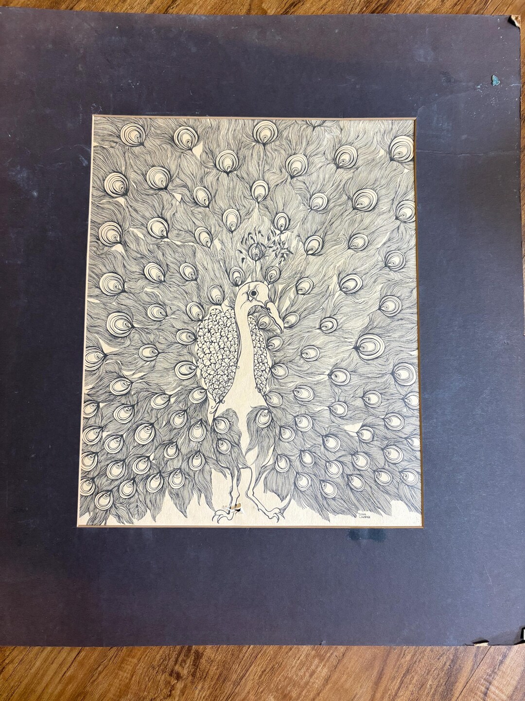 Peacock Graphite Pencil Drawing Large Vintage Art - Etsy