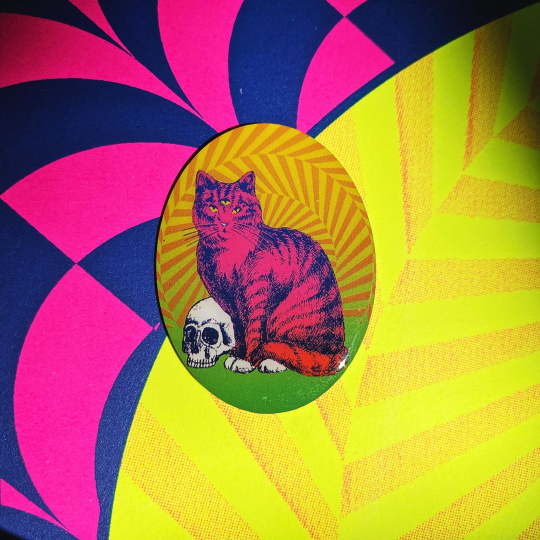 Groovy Cat- Full Color Enamel Pin - Etsy