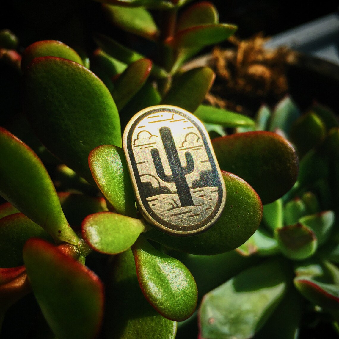 Saguaro - Hard Enamel Lapel Pin - Etsy