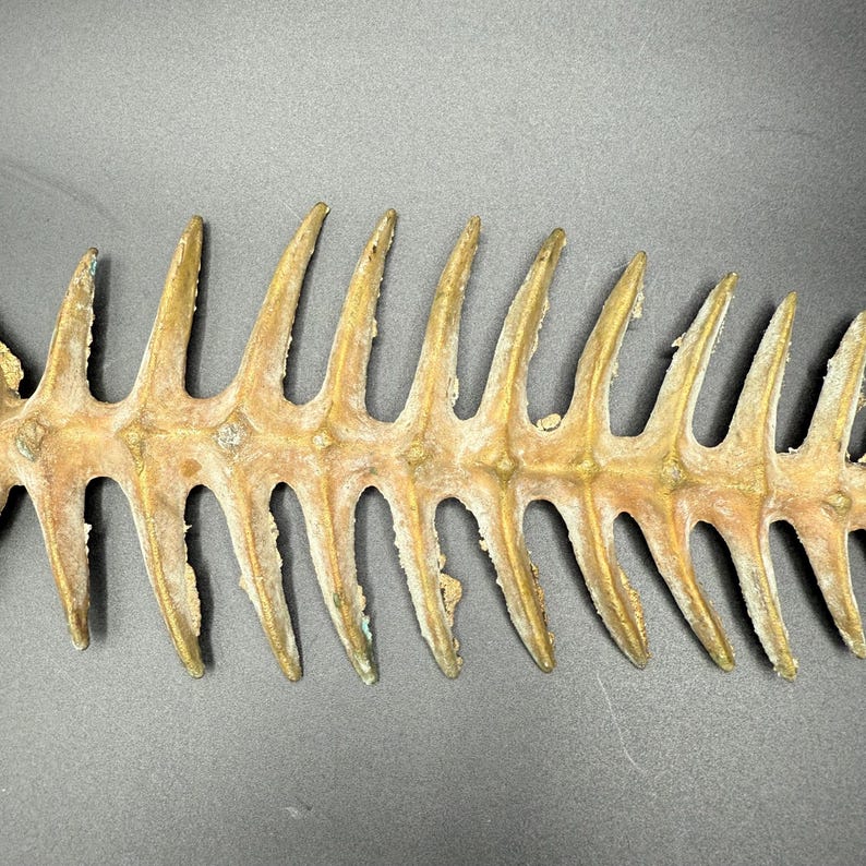 Vintage Brass Fish Skeleton – Cast Metal Wall Art – Nautical Beach ...