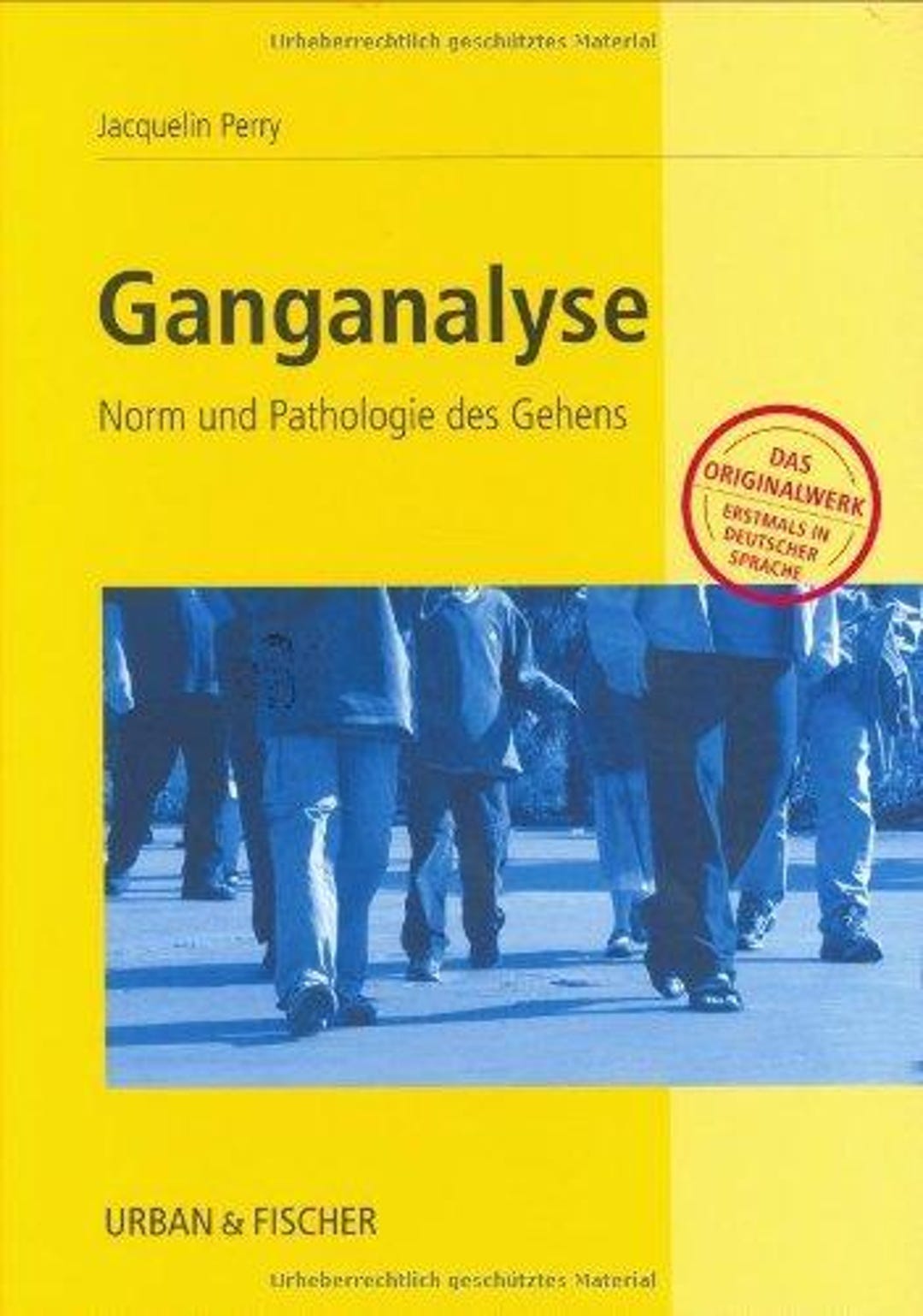 Gait Analysis. Norm and Pathology of Walking, Jacquelin Perry 24723 - Etsy