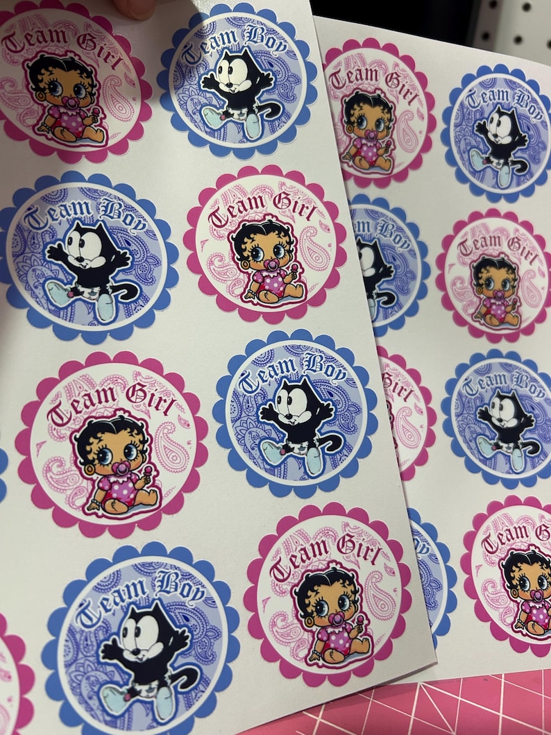 Team Boy Team Girl Stickers - Etsy