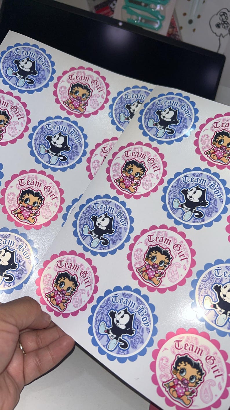 Team Boy Team Girl Stickers - Etsy