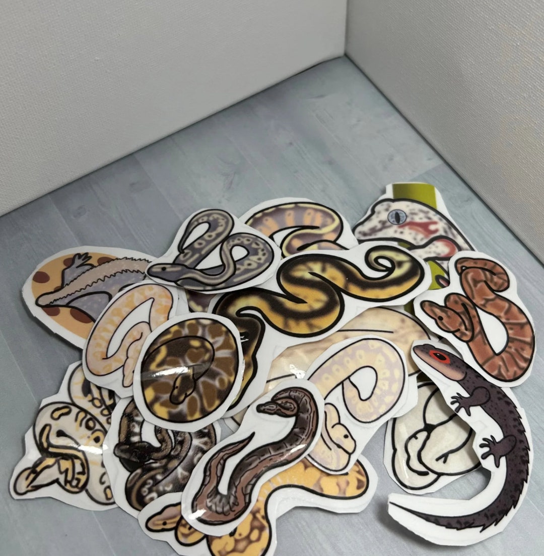 Random 5pc Sticker Pack - Etsy