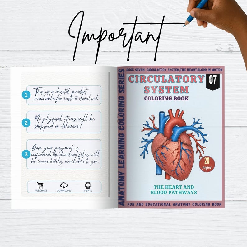 Circulatory System Coloring Book: Explore, Learn, and Master Anatomy ...