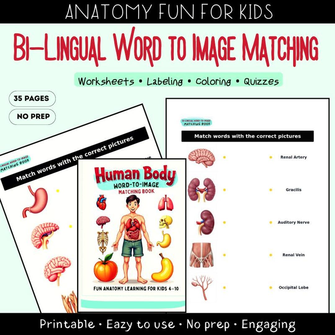 Human Body Matching Activity Book for Kids | Anatomy Word-to-picture ...