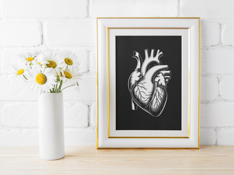 Anatomy X-ray Style Poster Set (6 Prints) | Heart, Brain & Respiratory ...