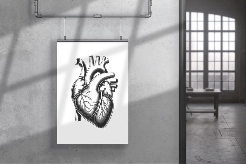 Anatomy X-ray Style Poster Set (6 Prints) | Heart, Brain & Respiratory ...