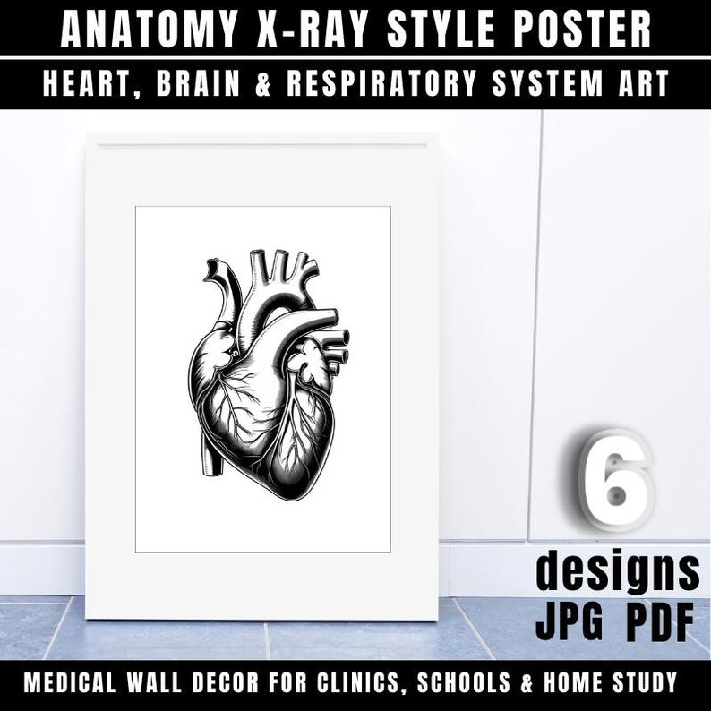 Anatomy X-ray Style Poster Set (6 Prints) | Heart, Brain & Respiratory ...