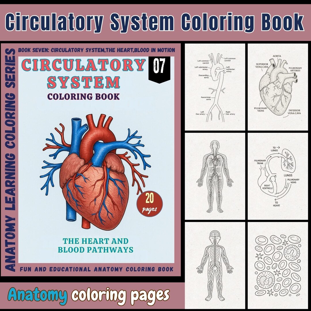Circulatory System Coloring Book: Explore, Learn, and Master Anatomy ...