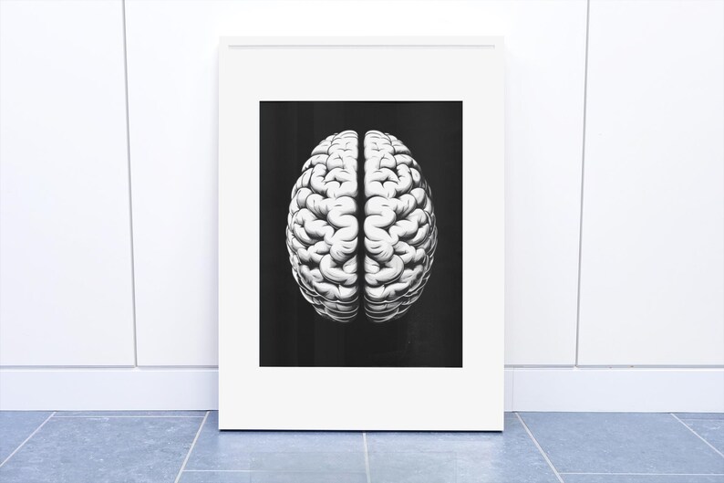 Anatomy X-ray Style Poster Set (6 Prints) | Heart, Brain & Respiratory ...