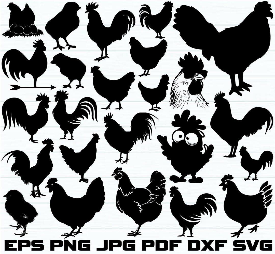 Chicken Svg Bundle, Chicken Png Bundle, Chicken Clipart, Chicken ...