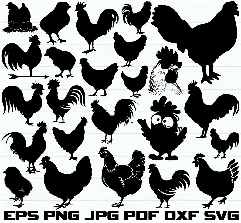 Chicken Svg Bundle, Chicken Png Bundle, Chicken Clipart, Chicken ...