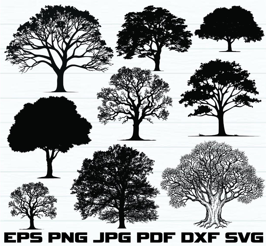Tree Svg Bundle, Tree Png Bundle, Tree Cut Files for Cricut, Tree ...