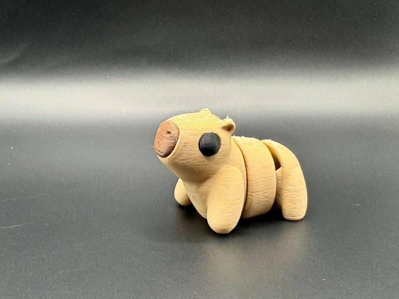 Flexi Capybara 3D Printed - Etsy