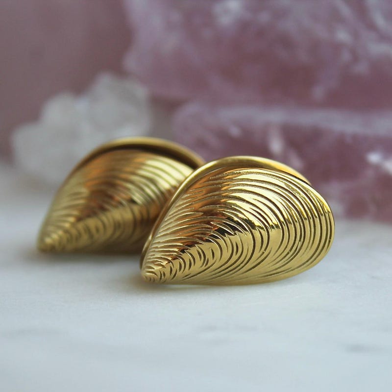 Mussel Shells - Etsy