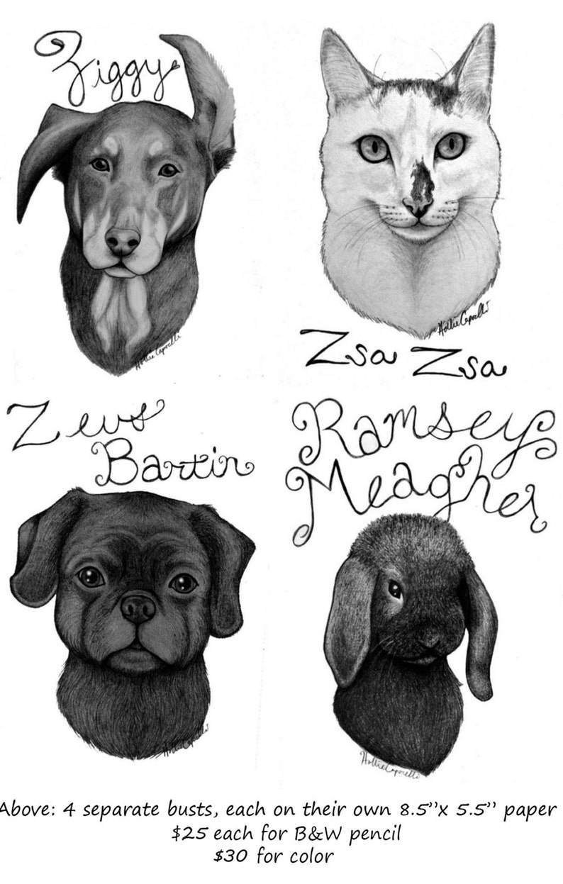 Custom Pet Portrait Bust Freehand Graphite or Color Pencil - Etsy