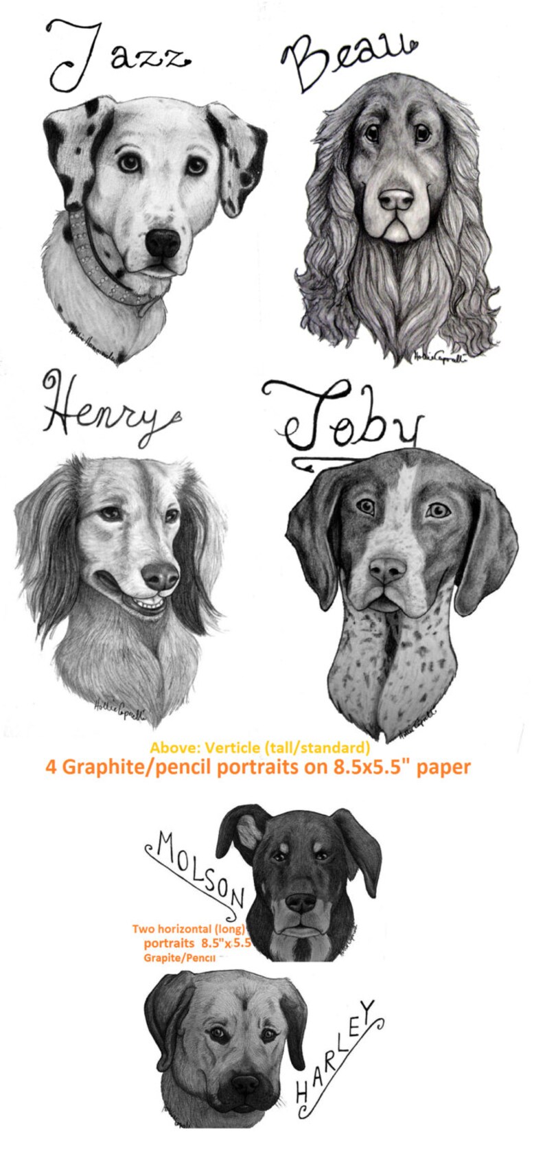 Custom Pet Portrait Bust Freehand Graphite or Color Pencil - Etsy