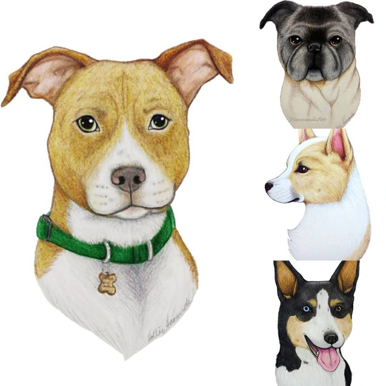 Custom Pet Portrait Bust Freehand Graphite or Color Pencil - Etsy