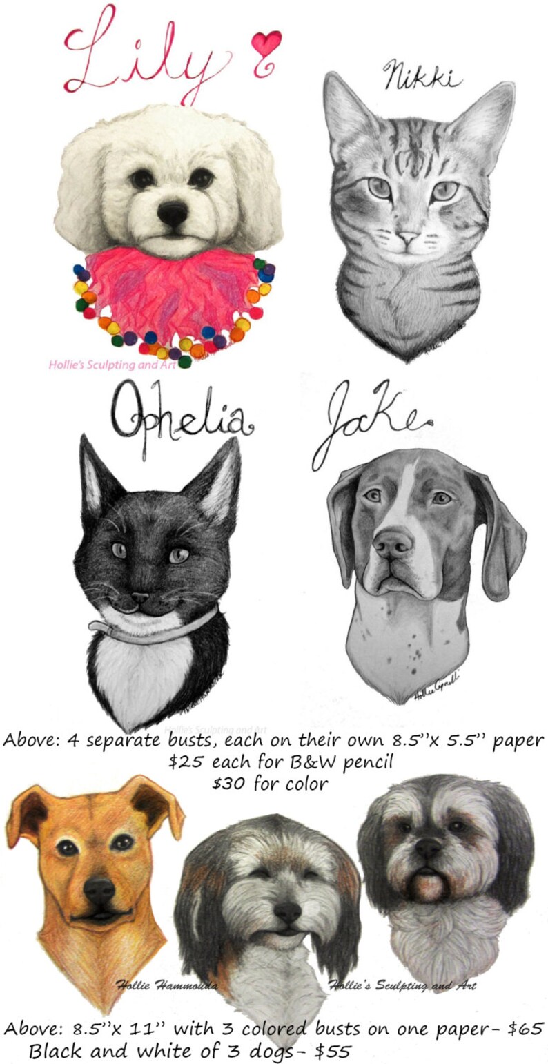 Custom Pet Portrait Bust Freehand Graphite or Color Pencil - Etsy