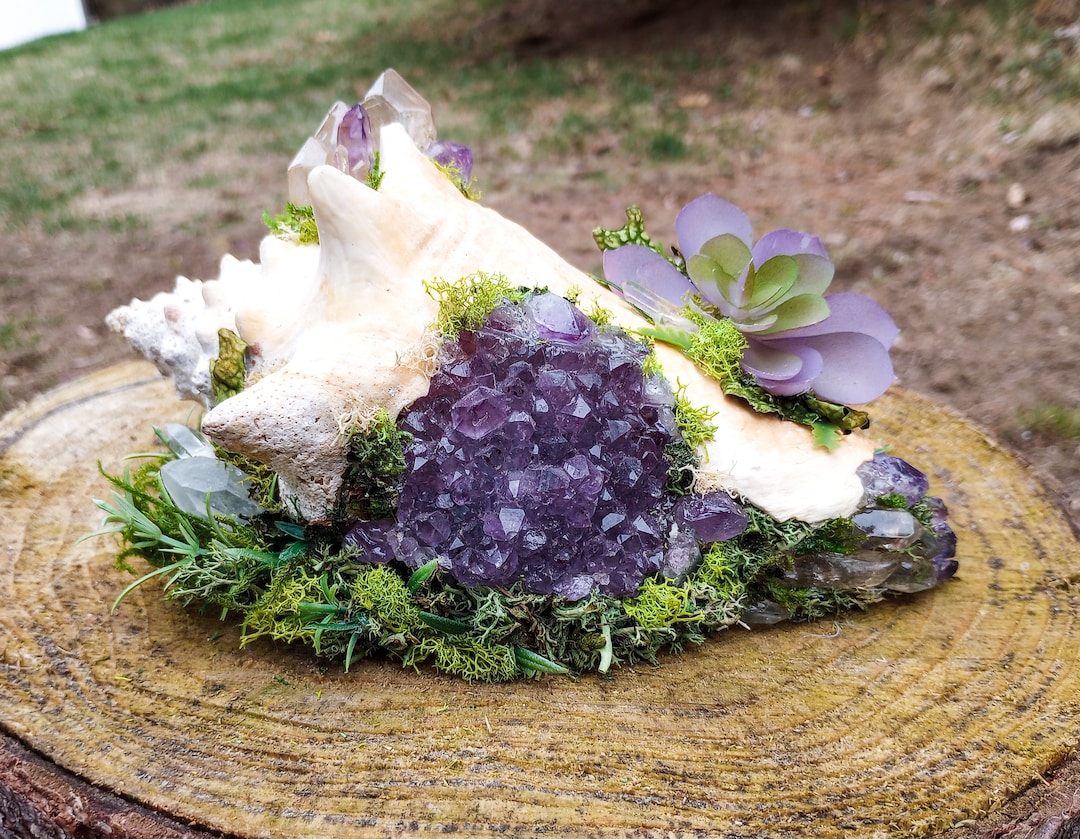 Deluxe Crystal Fairy Druzy Amethyst Conch Shell Xxlarge Ready to Ship ...