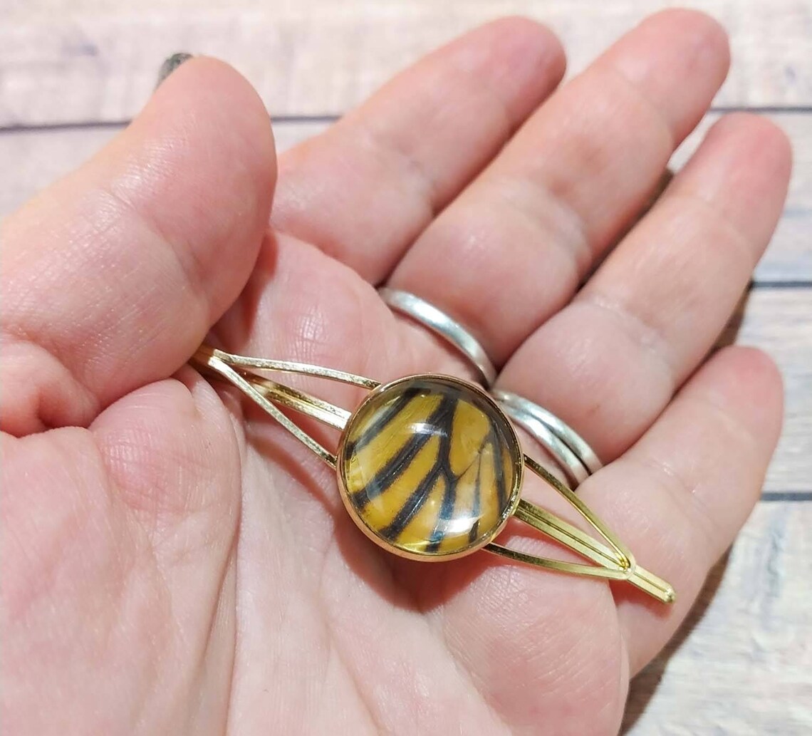 Monarch Hair Clip Real Butterfly Wings Cruelty Free Preserved Butterfly ...