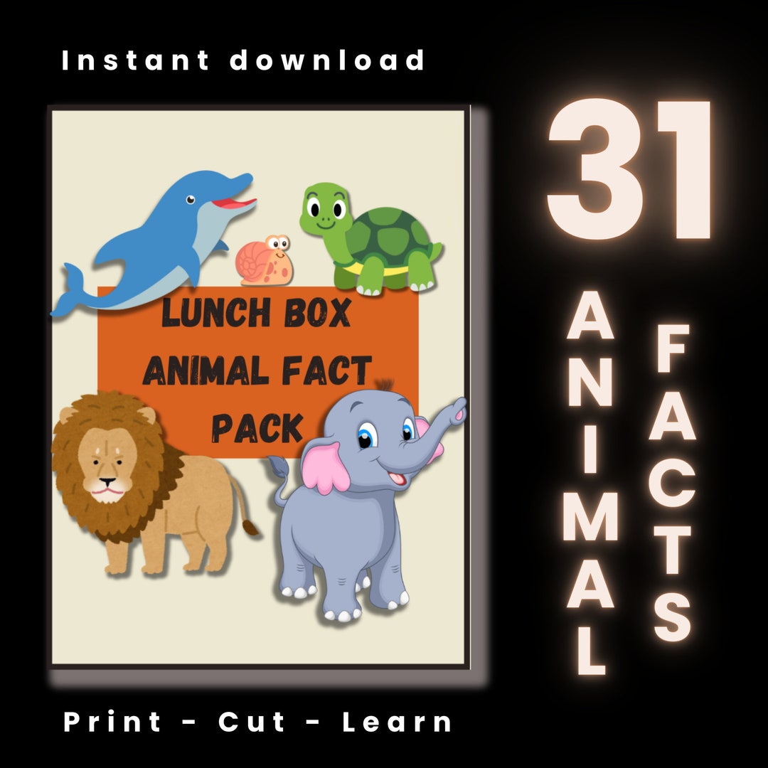 Lunch Box Animal Fact Pack 31 Cards 3x4 Inch - Etsy