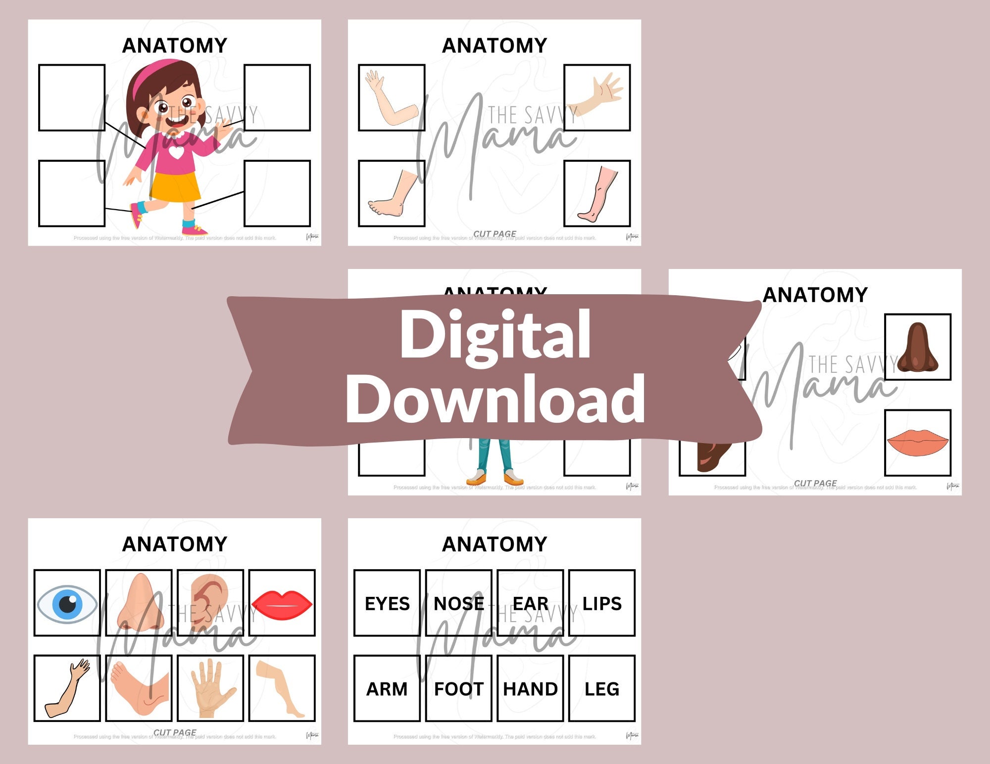Digital Download Anatomy Bundle Busy Book Binder for Children / Kids ...