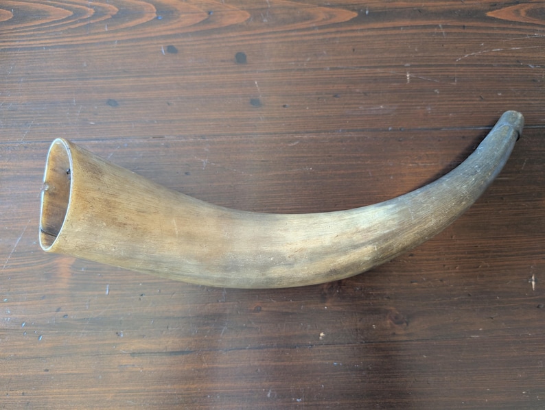 Native American Plains Indian 1800s Powder Horn With Decorative ...