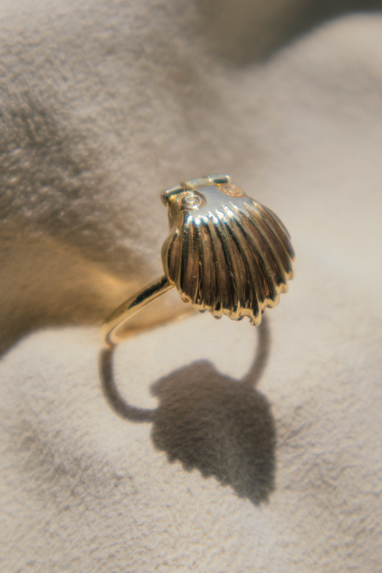 Gold Seashell Ring, Gold Shell Ring, Statement Shell Ring, Open and ...