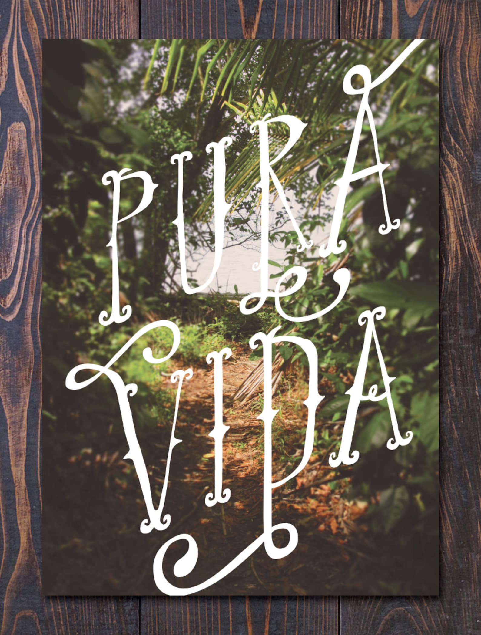 Modern Pura Vida Jungle PRINTABLE Costa Rican Art Costa | Etsy