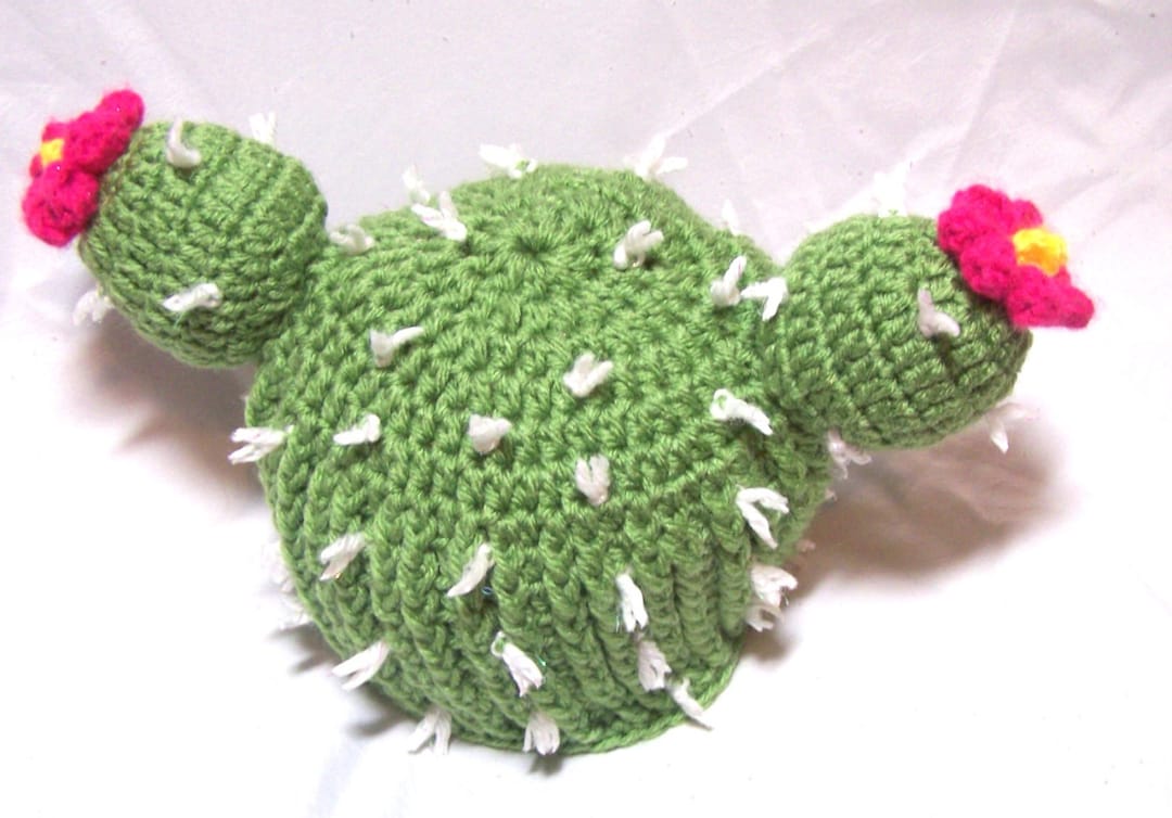 Cactus Hat With Pink Flowers Halloween Cactus Hat Baby Toddler Infant ...