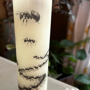 Ants Marching Along, Tall and Thin, Real Wax Flameless Candle ...
