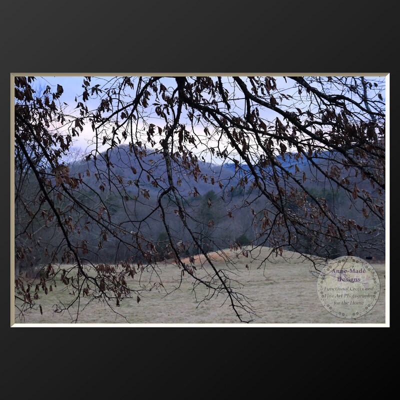 Pasture Scenes - Etsy