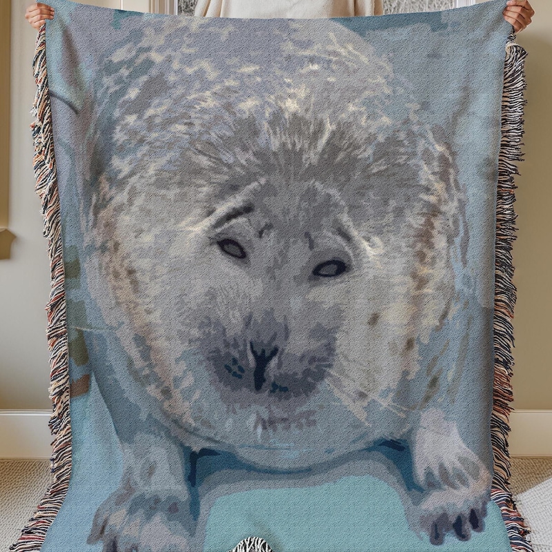 Yo Chan Seal Gyu - Etsy