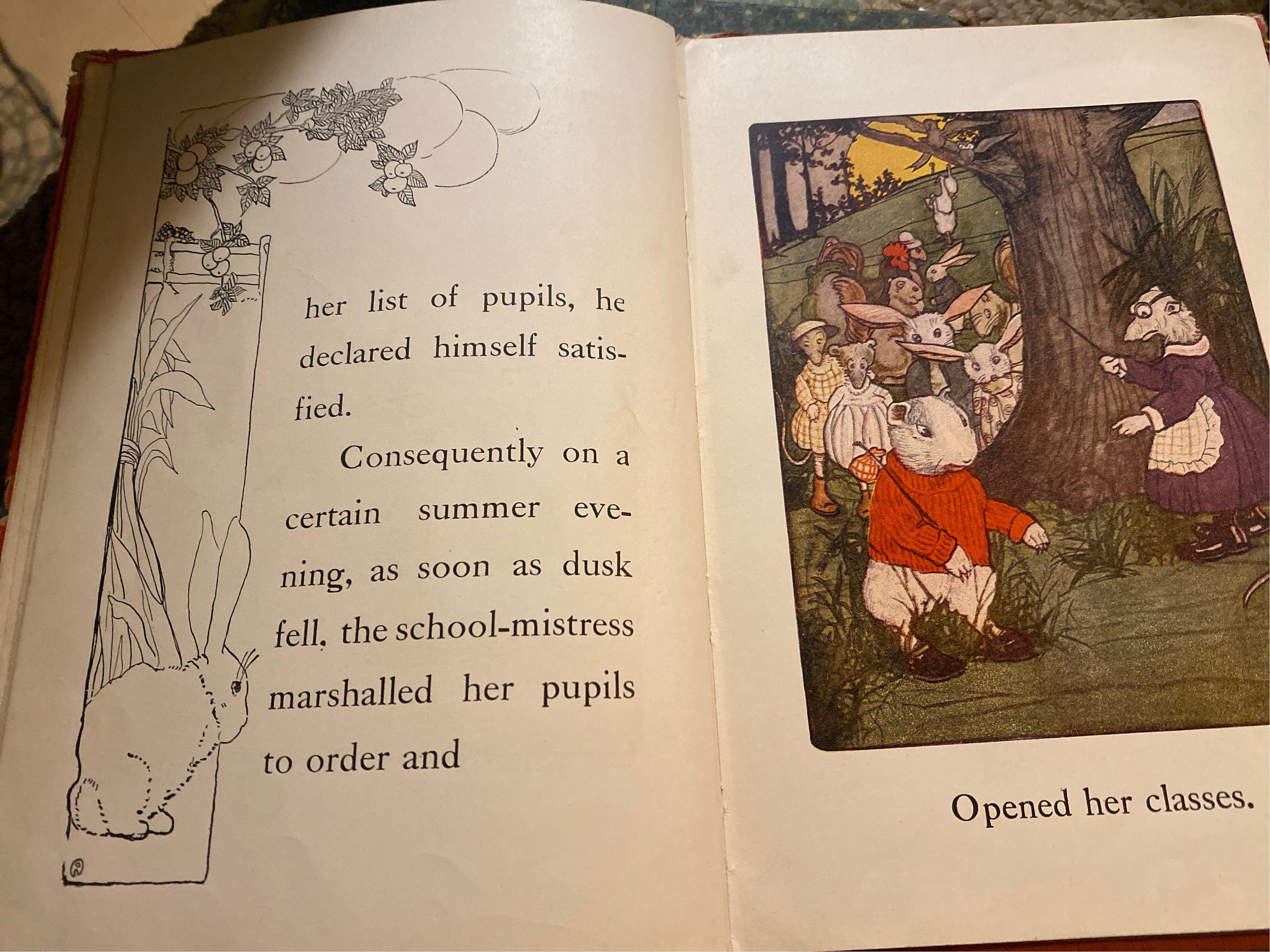 Peter Rabbit Goes to School Saalfield Publishing 1917 Children’s Book ...