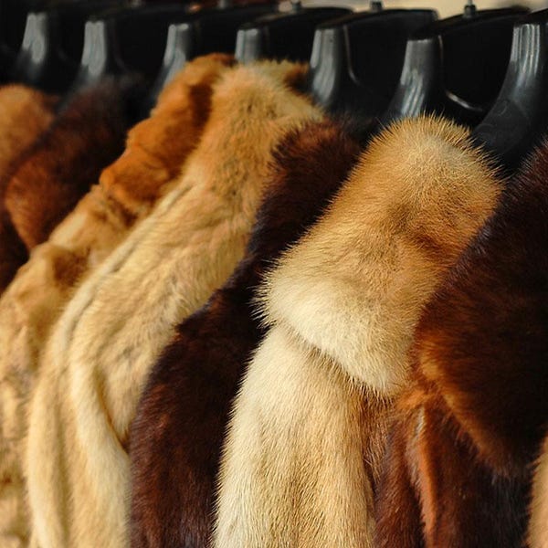 Genuine Real Mink Coat - Etsy