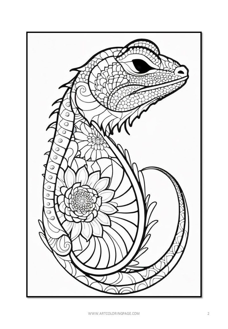 Lizard Mandala Coloring Book: 100 Pages of Animal Designs (digital ...