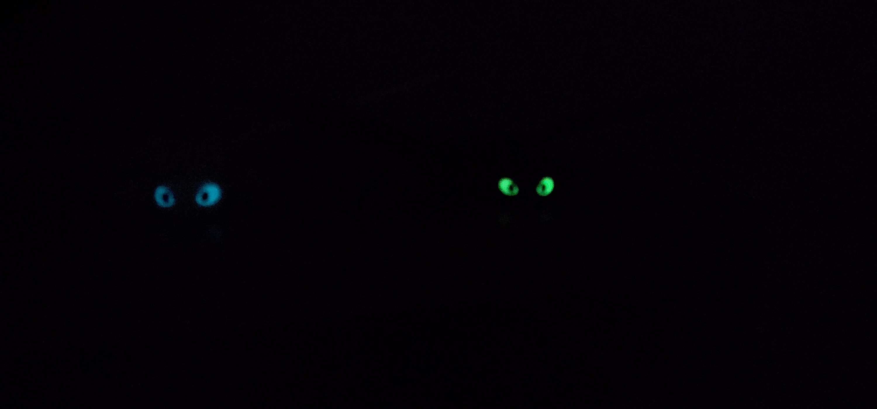Toothless and the Light Fury - Etsy