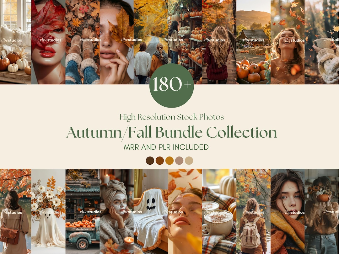Autumn Bundle Stock Photos Fall Aesthetic Photos Bundle Halloween Stock ...