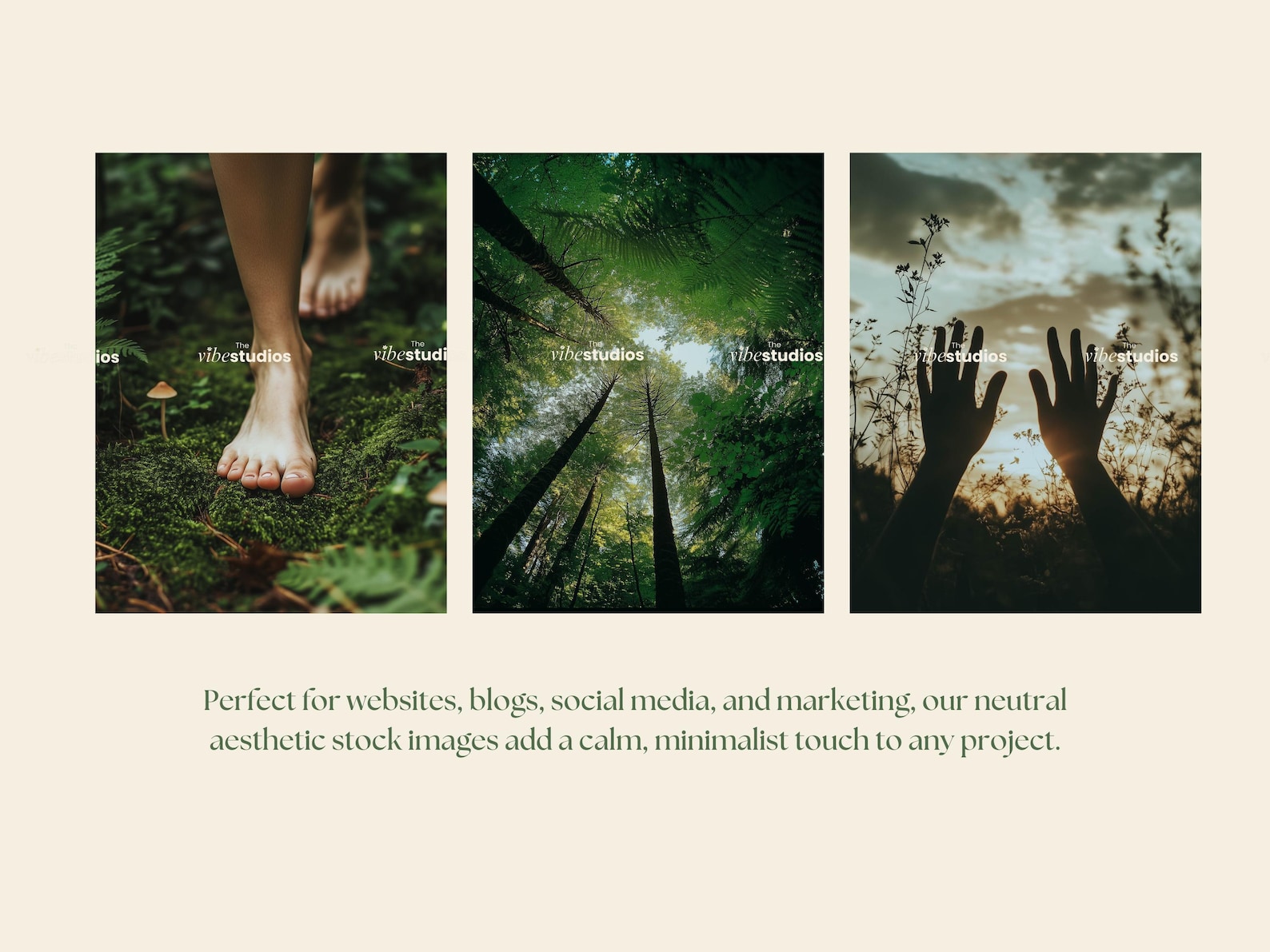 Somatic Therapy Stock Photos Somatic Coaching Photos Faceless Marketing ...
