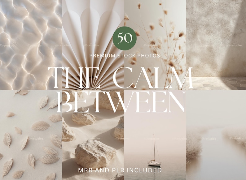 Calm Neutral Stock Photos Minimal Aesthetic Beige Editorial Natural ...