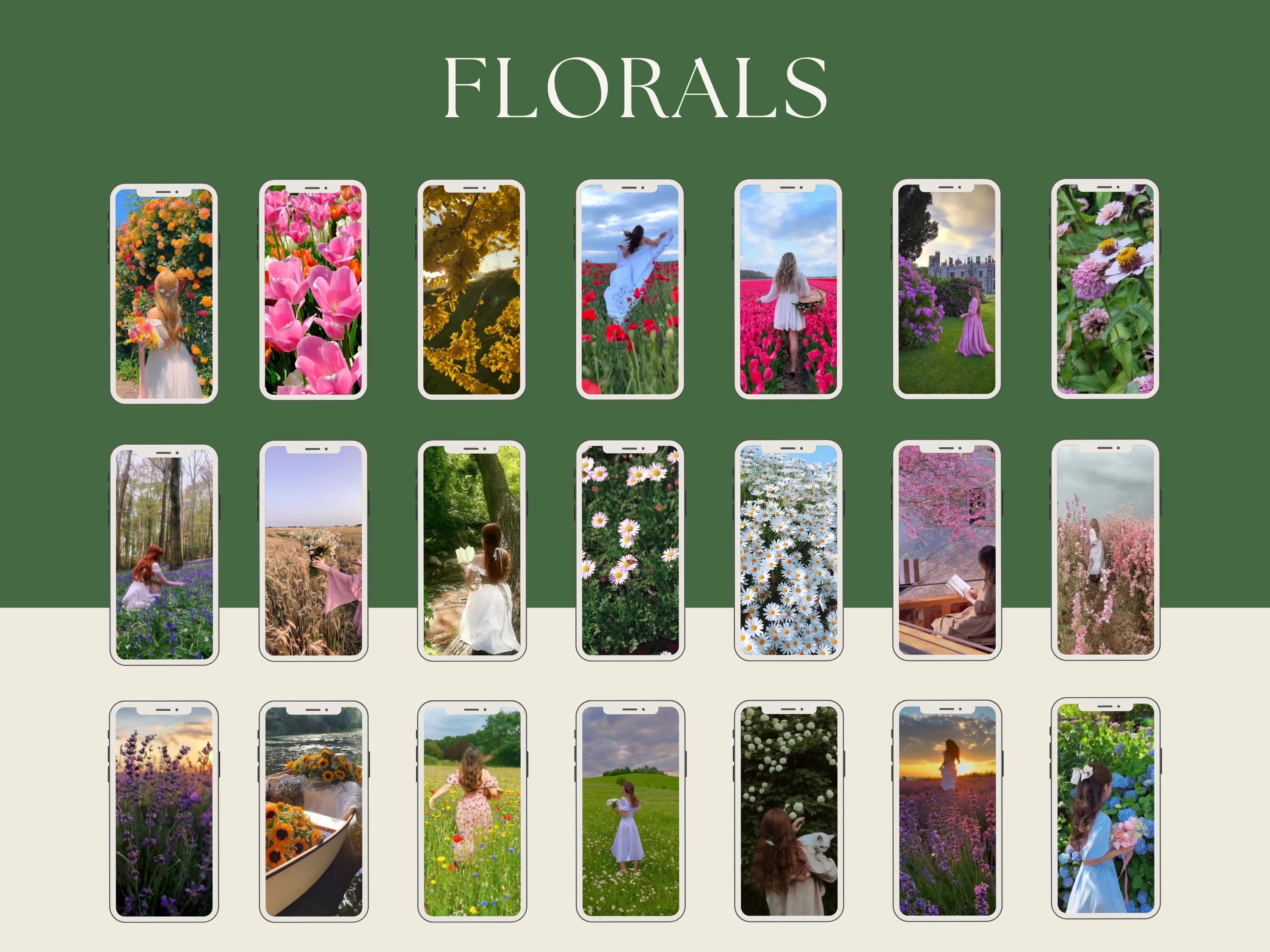 600+ Nature Reels Aesthetic Nature Faceless for Instagram and Tiktok ...