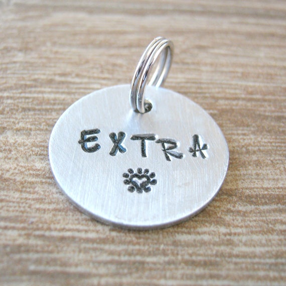 Extra Pendant Extra Charm You're so Extra Disc | Etsy