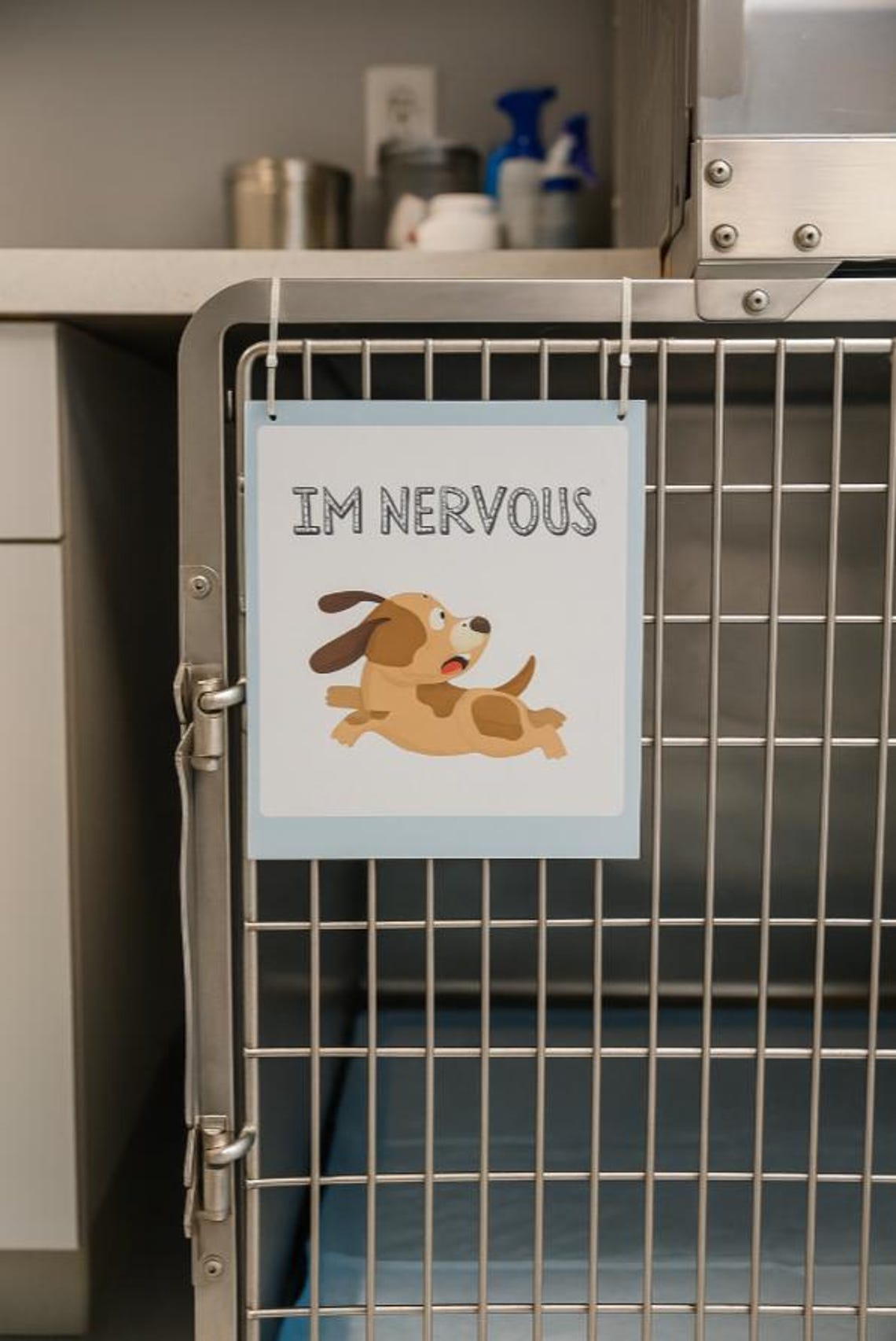 Printable Vet Cage Cards | Animal Kennel Cards | Digital Veterinary ...