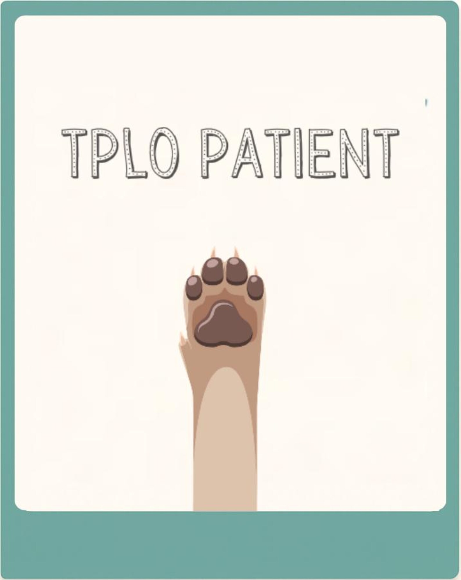 Printable Vet Cage Cards | Animal Kennel Cards | Digital Veterinary ...