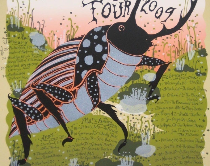 Andrew Bird 2009 Tour Poster - Limited Edition Screenprint - Etsy