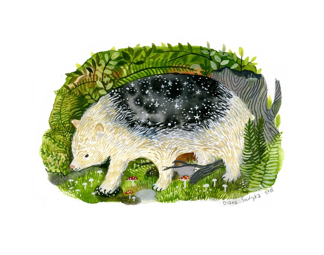 Spirit Bear - 11 X 14 Inch Archival Inkjet Print (giclée) - Etsy